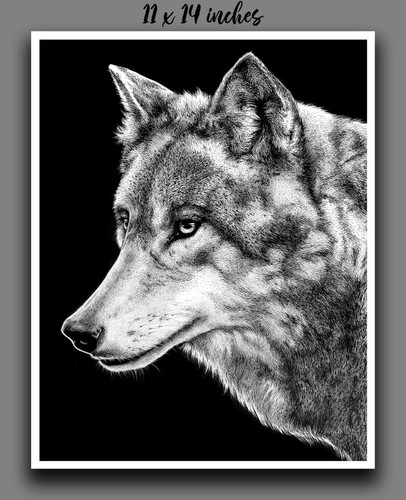 "Grey Wolf" Signed Print | Shelby Elizabeth Art
