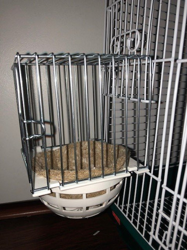 Wire Canary Nest Setup | CPbirds.com