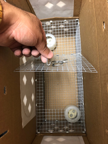 Shipping Crate | CPbirds.com