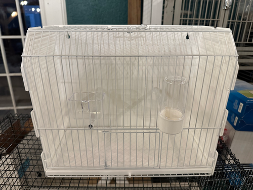 Medium Bird Transport Carrier | CPbirds.com