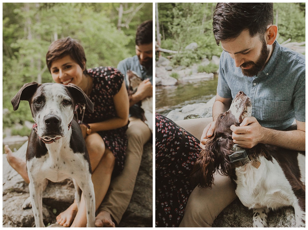 Reese's Rescue 2019 Donations