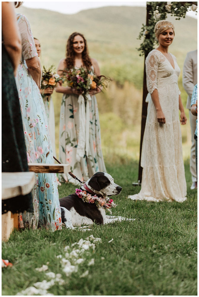 Reese's Rescue 2019 Donations