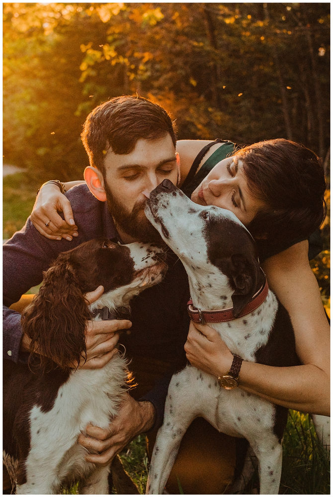 Reese's Rescue 2019 Donations