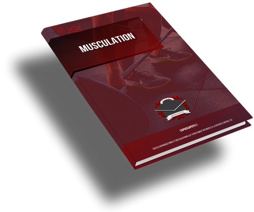 Fiches APSA | Musculation | CAPEPS