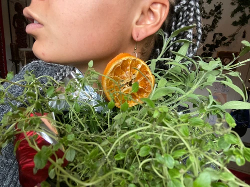 Yoni Fruit Earrings 🍓🍋🍒⭐️ | The Witch Wellness S
