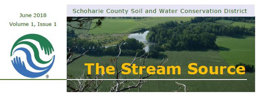 Introducing "The Stream Source"