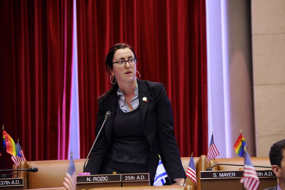 Assemblywoman | New York 25th | Nily Rozic
