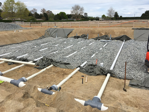 Sports & Equestrian: Turf & Arena | WTSNZ