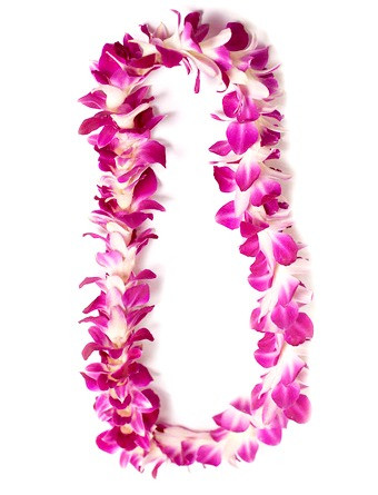 Orchid Lei ( Purple Single Lei ) - Bulk | Paradise Leis