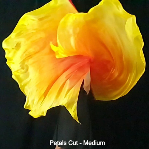 Sun Ombre - Artisan Hand-Painted Flags | Passionflag