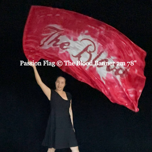 "The Blood" Banner - Hand Painted - Single Flag | Passionflag