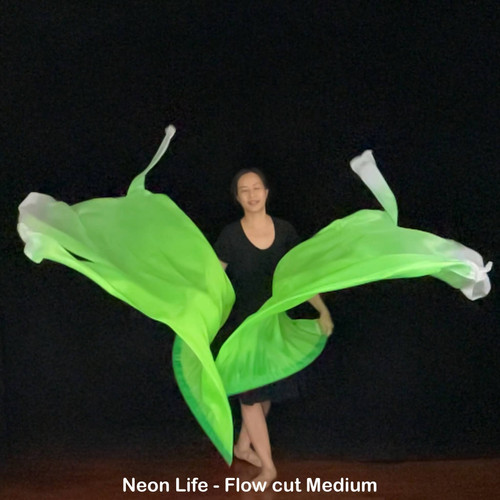 Neon Life fluorescent - Artisan Hand-Painted Flags | Passionflag