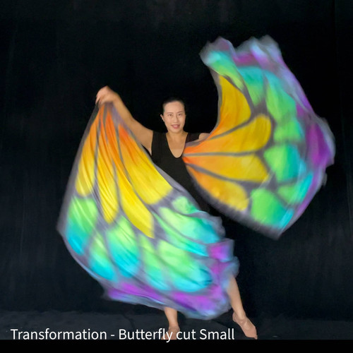 Transformation - Artisan Hand-painted Flags | Passionflag