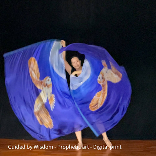 Guided by Wisdom - Prophetic Art Digital Print Silk Flags | Passionflag