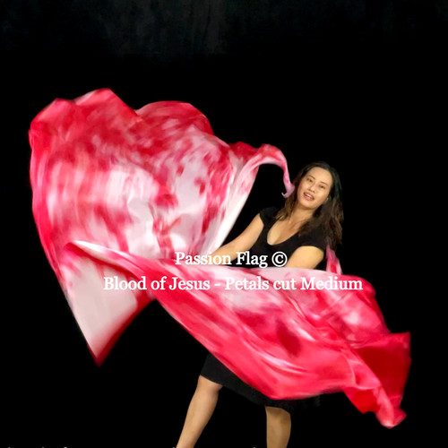 Blood of Jesus - Artisan Hand-Dyed Flags | Passionflag