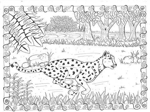 coloring sheet cheetah