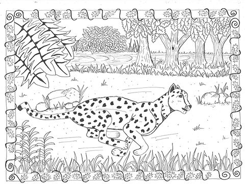 coloring pages cheetah