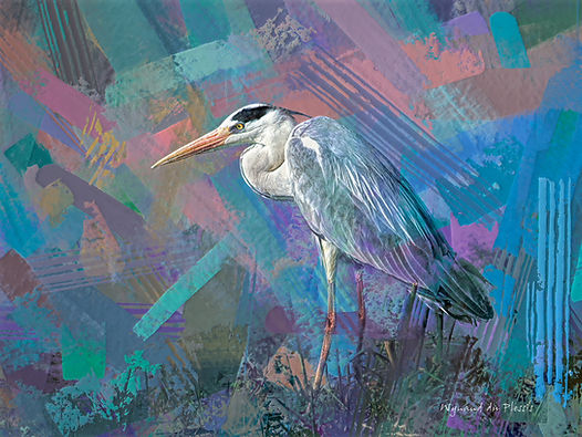 BIRD ART GALLERY - Wynand du Plessis