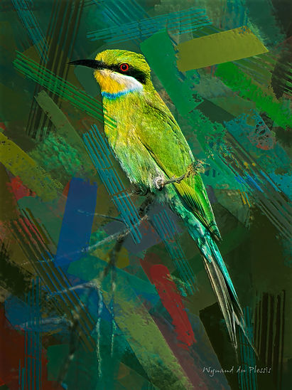 BIRD ART GALLERY - Wynand du Plessis