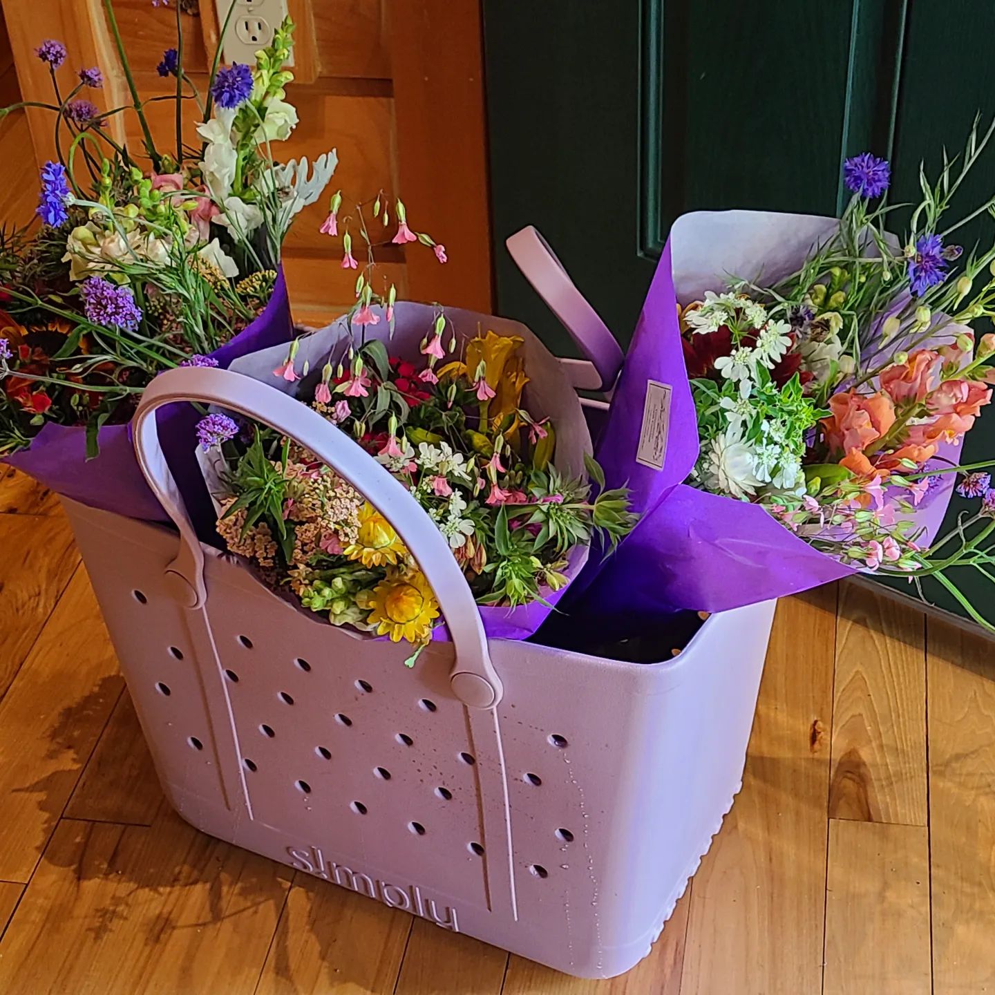 Lavender Fields | Red Feather Ranch, LLC | United States