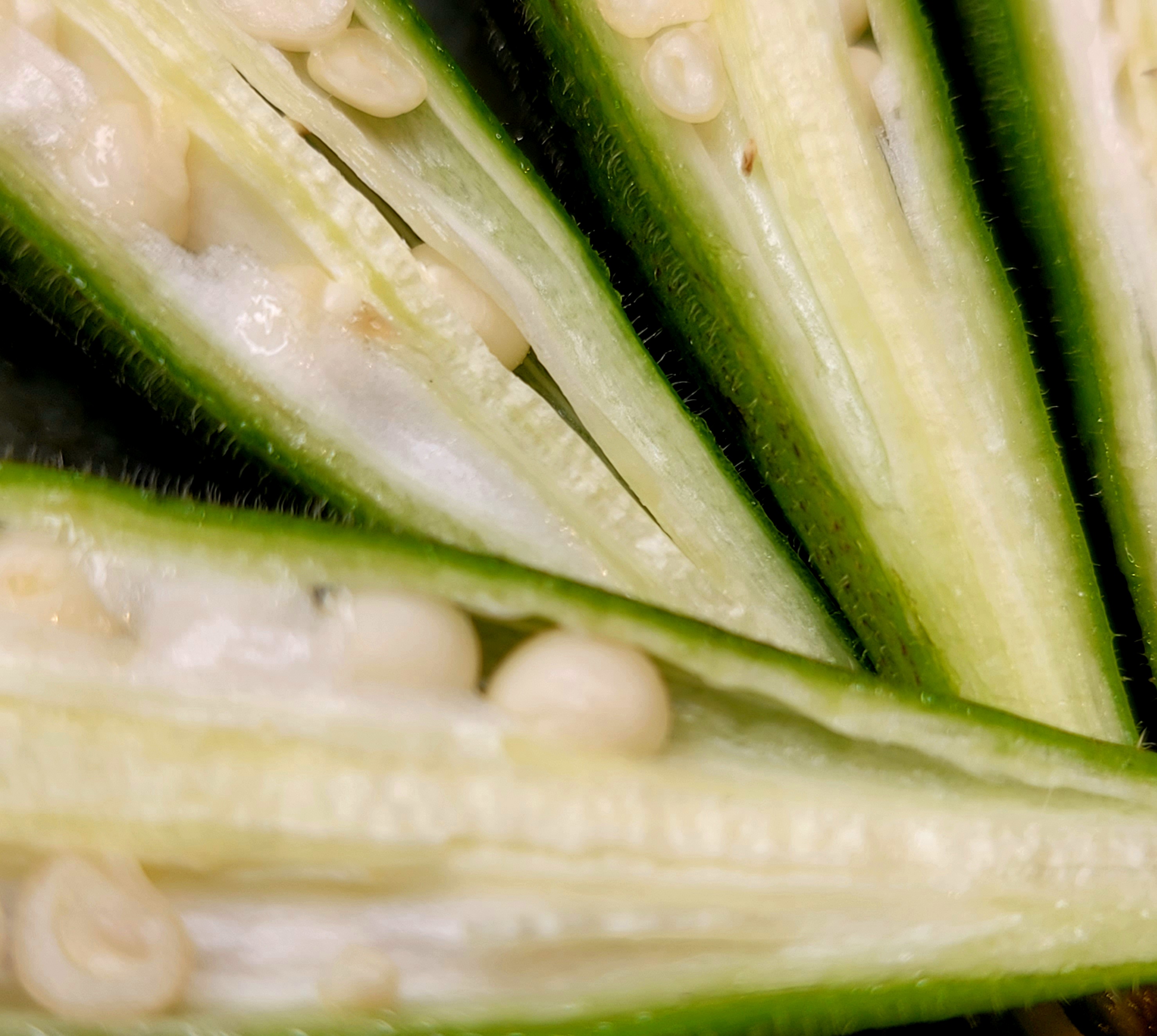 Limpin' Susan and Tangled Stacey