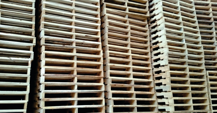 Proveedora de Tarimas y Especiales | San Pedro Tlaquepaque, Jal.