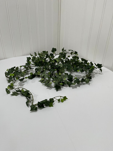 Ivy strands | Piney Grove Ranch