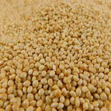 Mijo blanco 1 kilo | La nueva Alpina