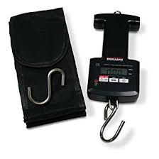 OS Suspended Scale | Rice Lake | Lakeshore Scale