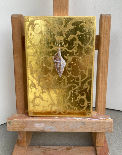 Shell study No. 6 | FlorenceArt.Net