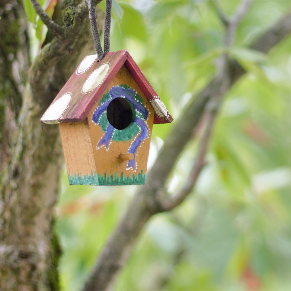 Where do I put my birdbox and what size should it be?