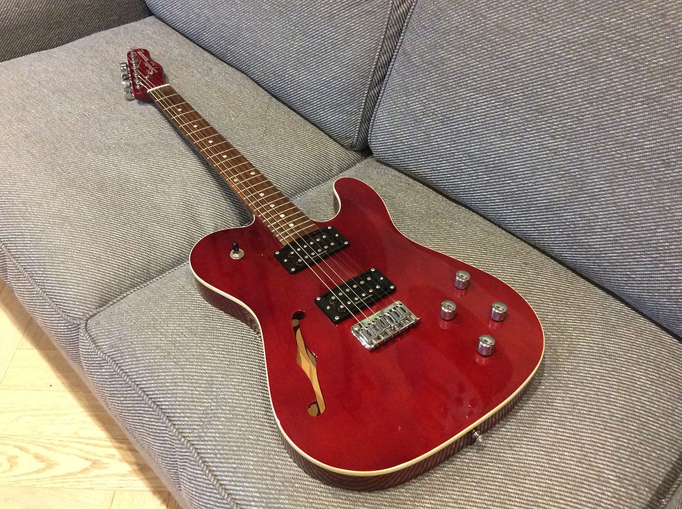 Fender Squier Thinline HH Set NeckTelecaster | The Guitar Shack