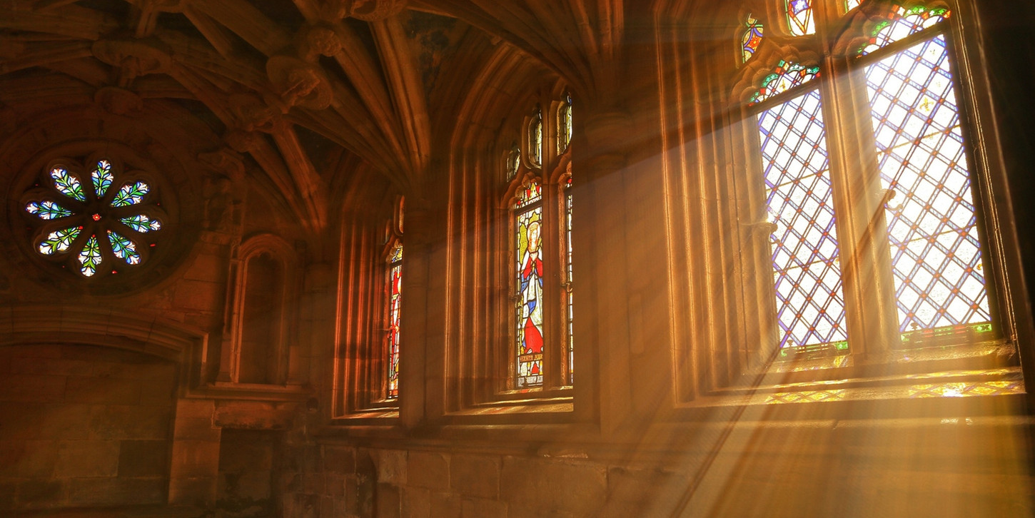 HOME | Frances Hogan