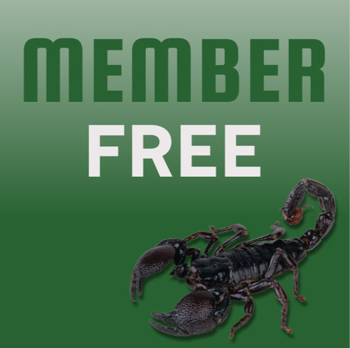 All About Bugs - Member | Riverside Reptiles