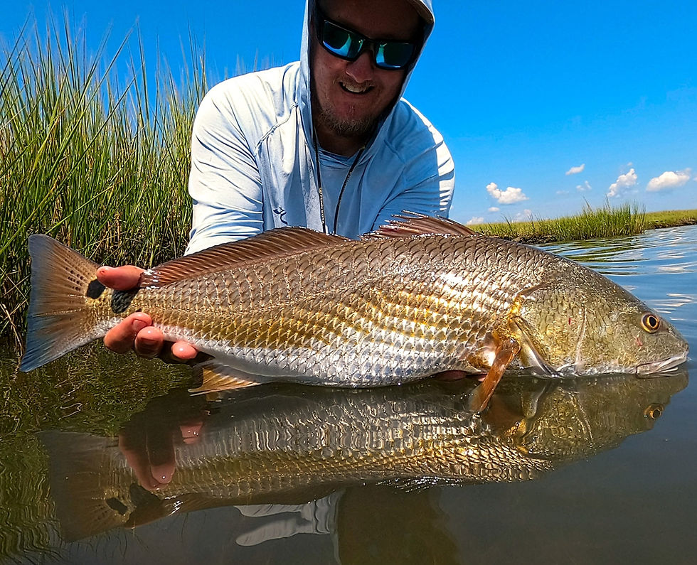 Targeting Summer Redfish in Virginia's Estuaries