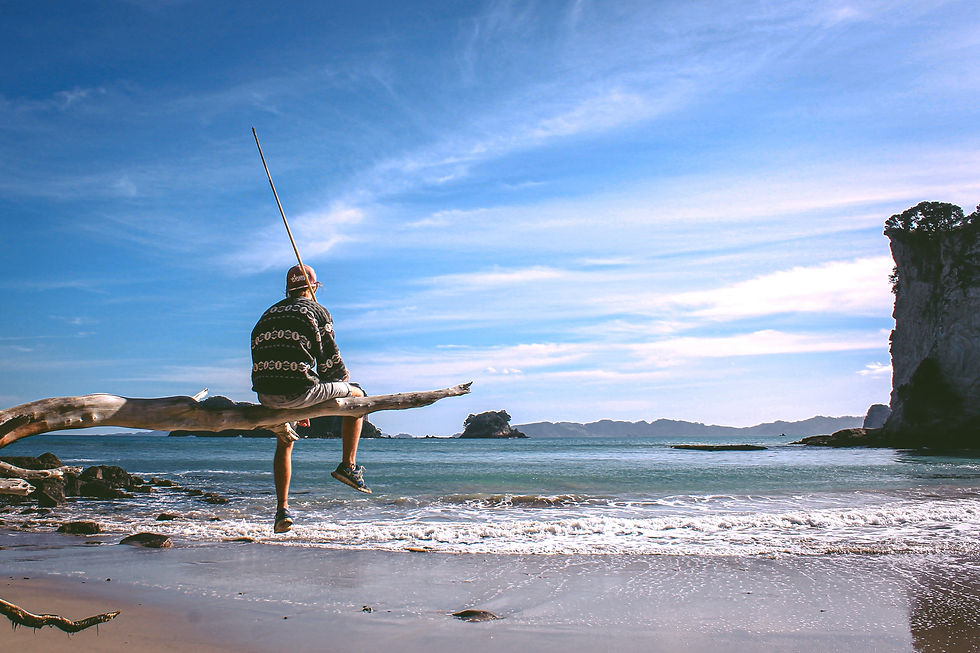 Insurance | Evercare