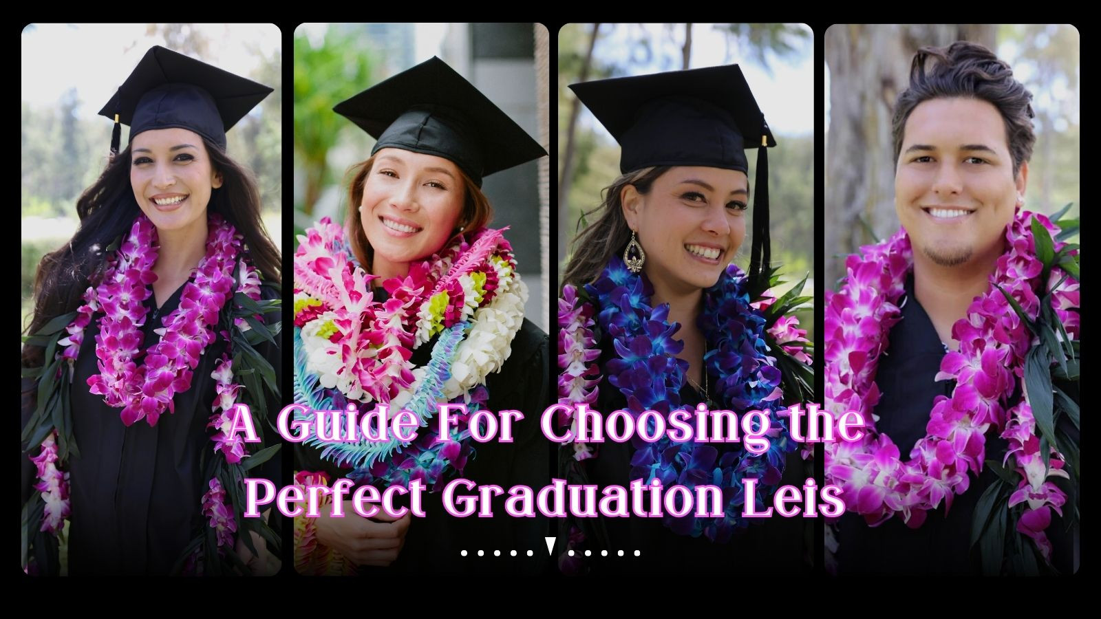 Graduation Leis | Choosing the Perfect Graduation Leis
