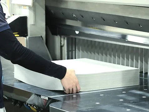 Products In One Step | Sasco Impex Ltd