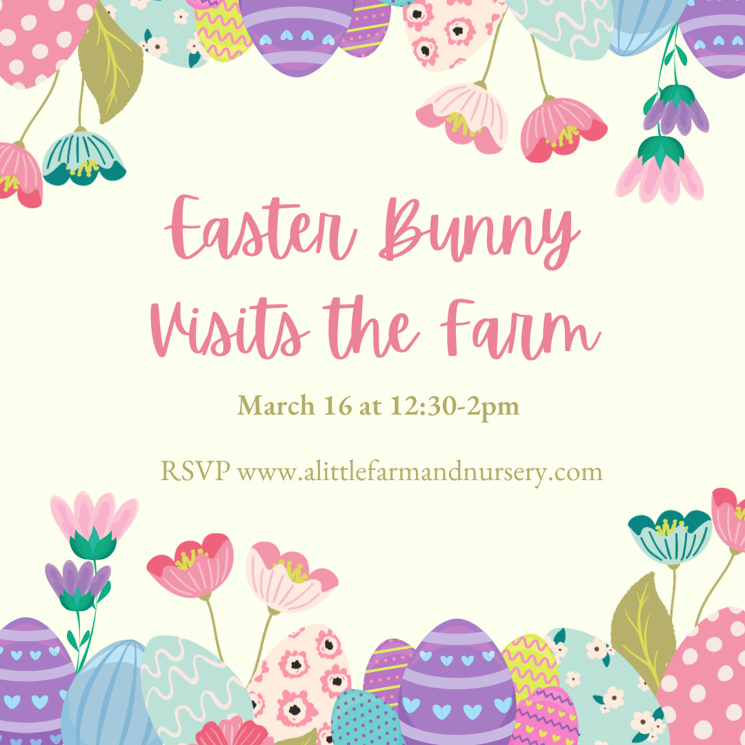 FULL- Visit the Easter Bunny on the Farm-FULL | A Little Farm