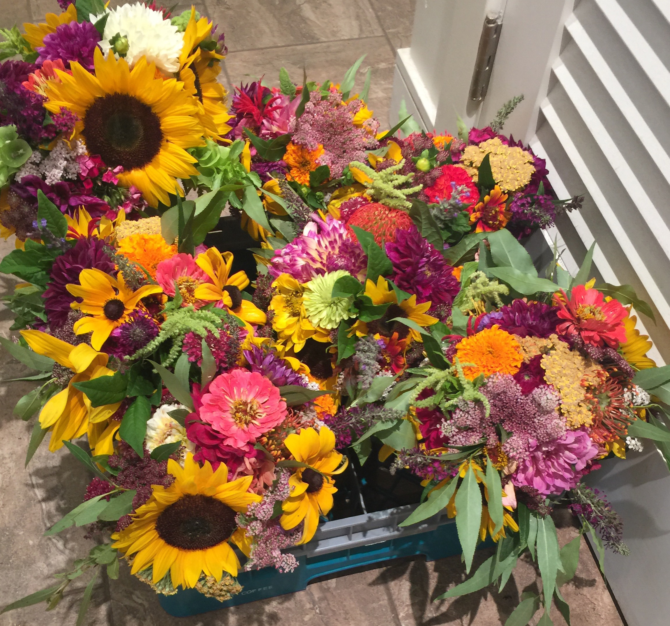 Bridal Veil Floral - Telluride, CO