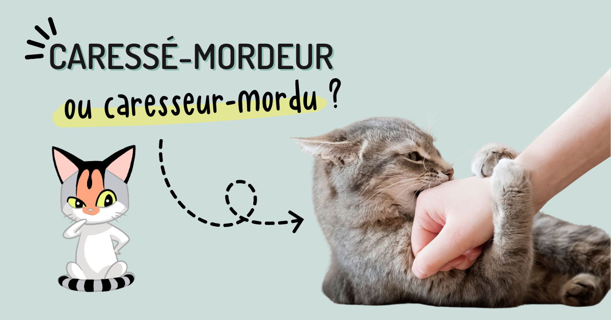Caressé-mordeur... ou caresseur-mordu