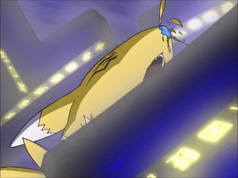 DIGIMON EXPLANATORY BLOG: DATA AND DIGIMON PHYSIOLOGY