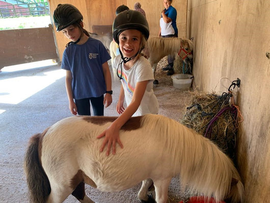 The Avon Centre | Riding Centre | Avon Riding Centre For The Disabled ...