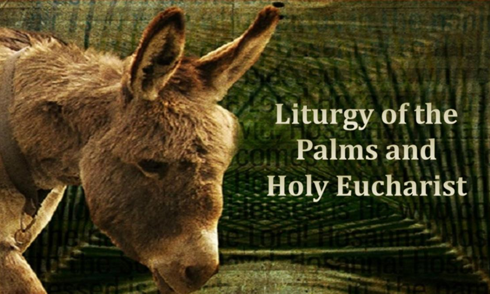 Steps of Jesus During Holy Week