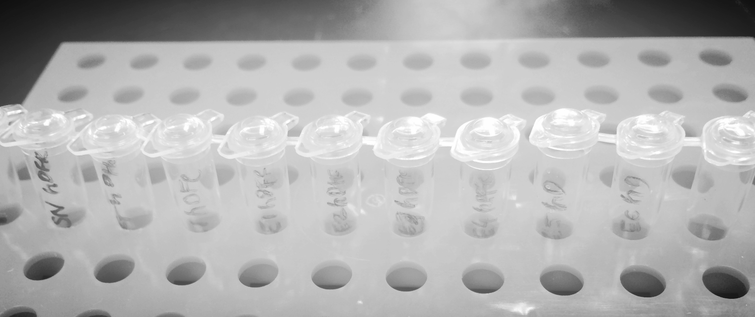 Research | weiss-lab-at-uci