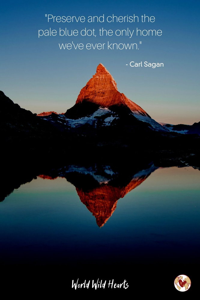 The World's Best Nature Quotes (WITH IMAGES)