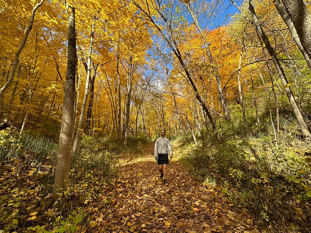 TCM Tips For Thriving in the Fall 🍂