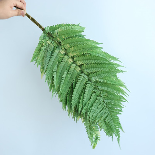 Big Fern Grass Green | preserved-plants