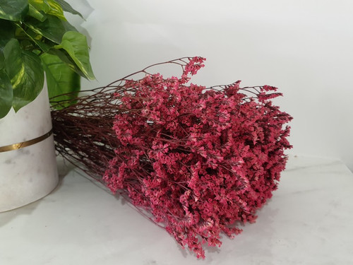Caspea Dark Red | preserved-plants