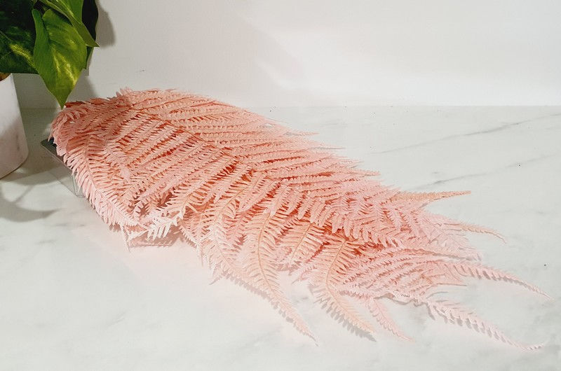 Preserved Fern Leaves | Preserved Plants